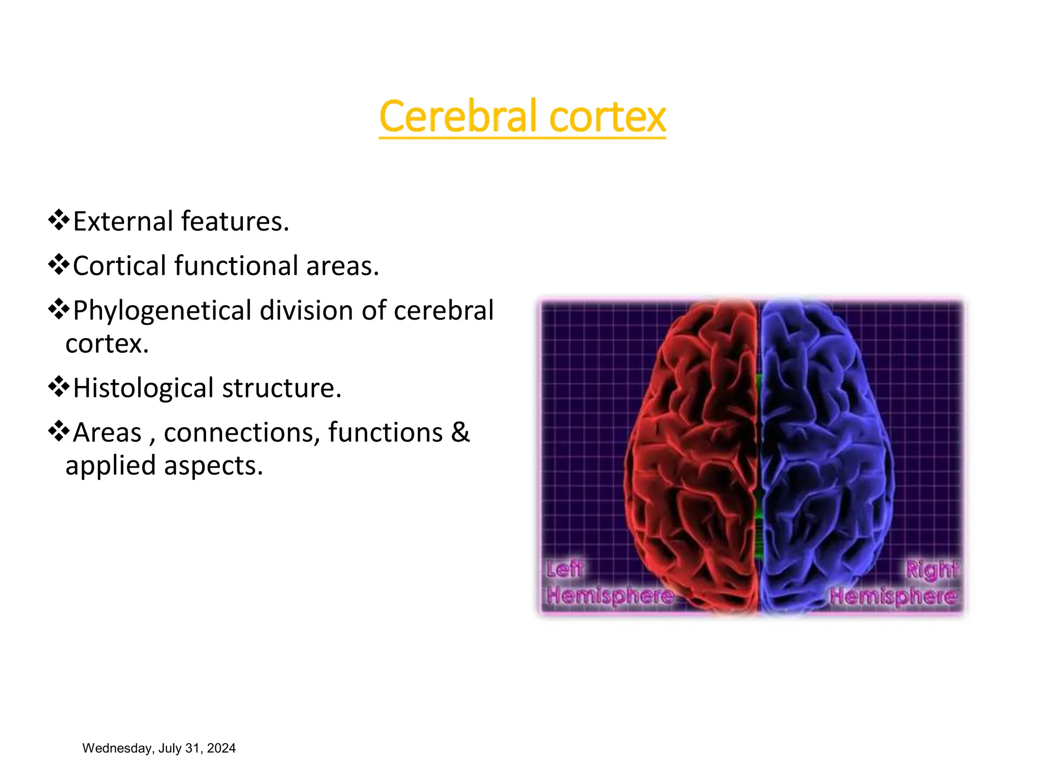 Kluver-Bucy Syndrome.ppt affecting cerebral cortex | PPT
