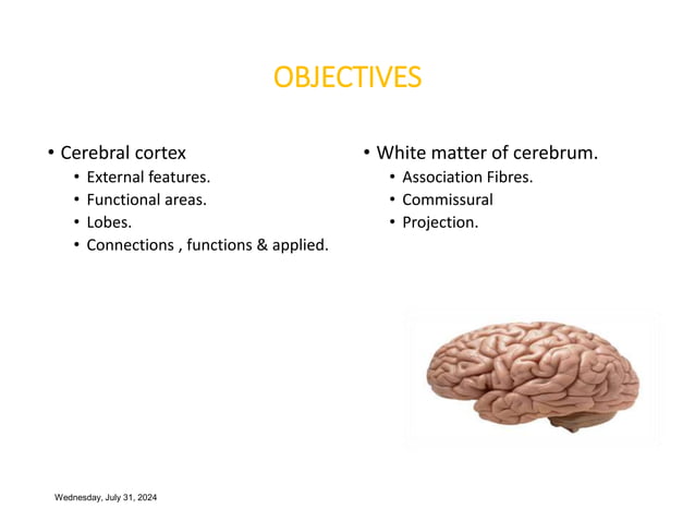 Kluver-Bucy Syndrome.ppt affecting cerebral cortex | PPT