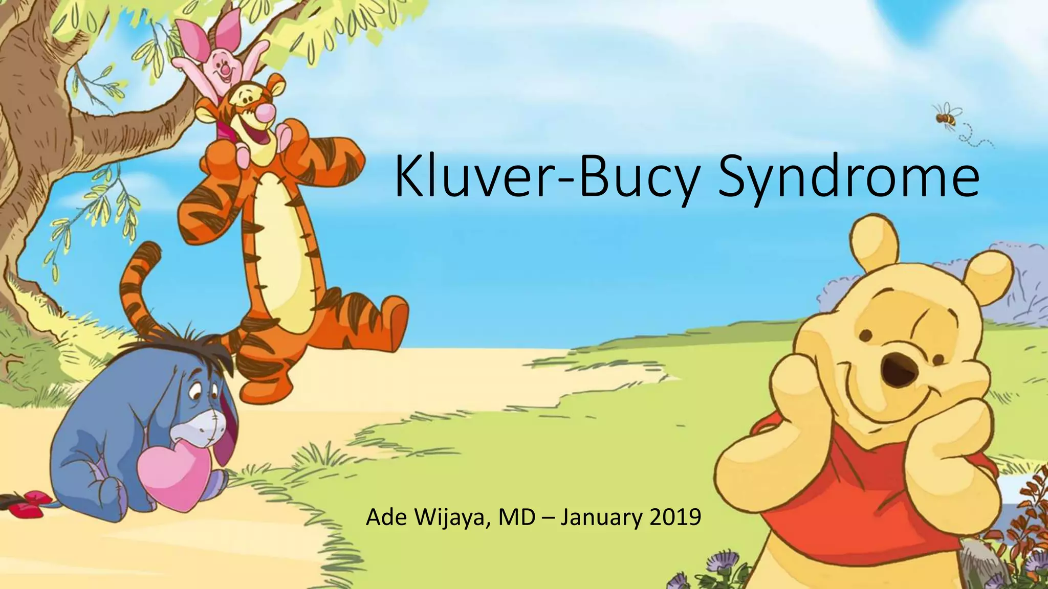 Kluver-Bucy Syndrome | PPT