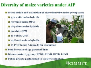 Increasing maize productivity and varietal diversity in Pakistan | PPT