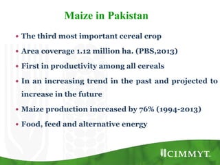 Increasing maize productivity and varietal diversity in Pakistan | PPTX