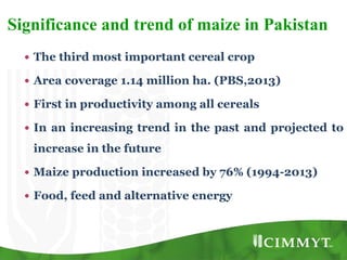 CIMMYT's activities to enhance productivity and promote excellence in ...
