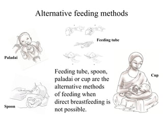 KMC-PPT for any preterm babies and proper care | PPT