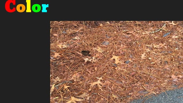 Seven elements of art project | PPT