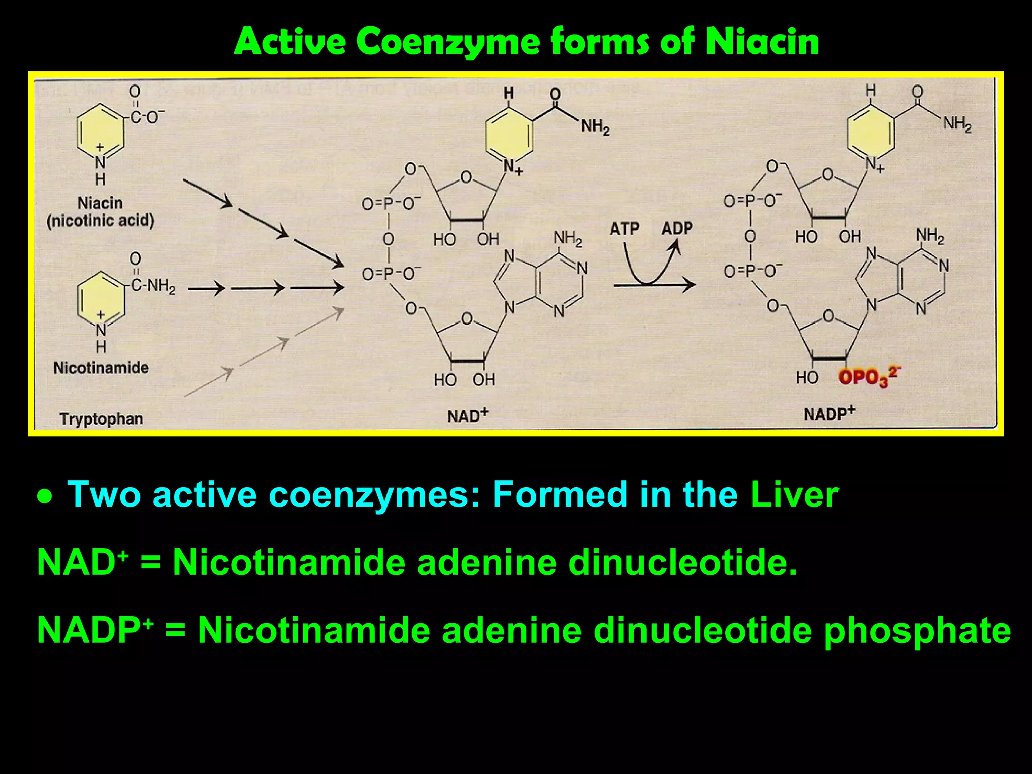Water soluble vitamins | PPT