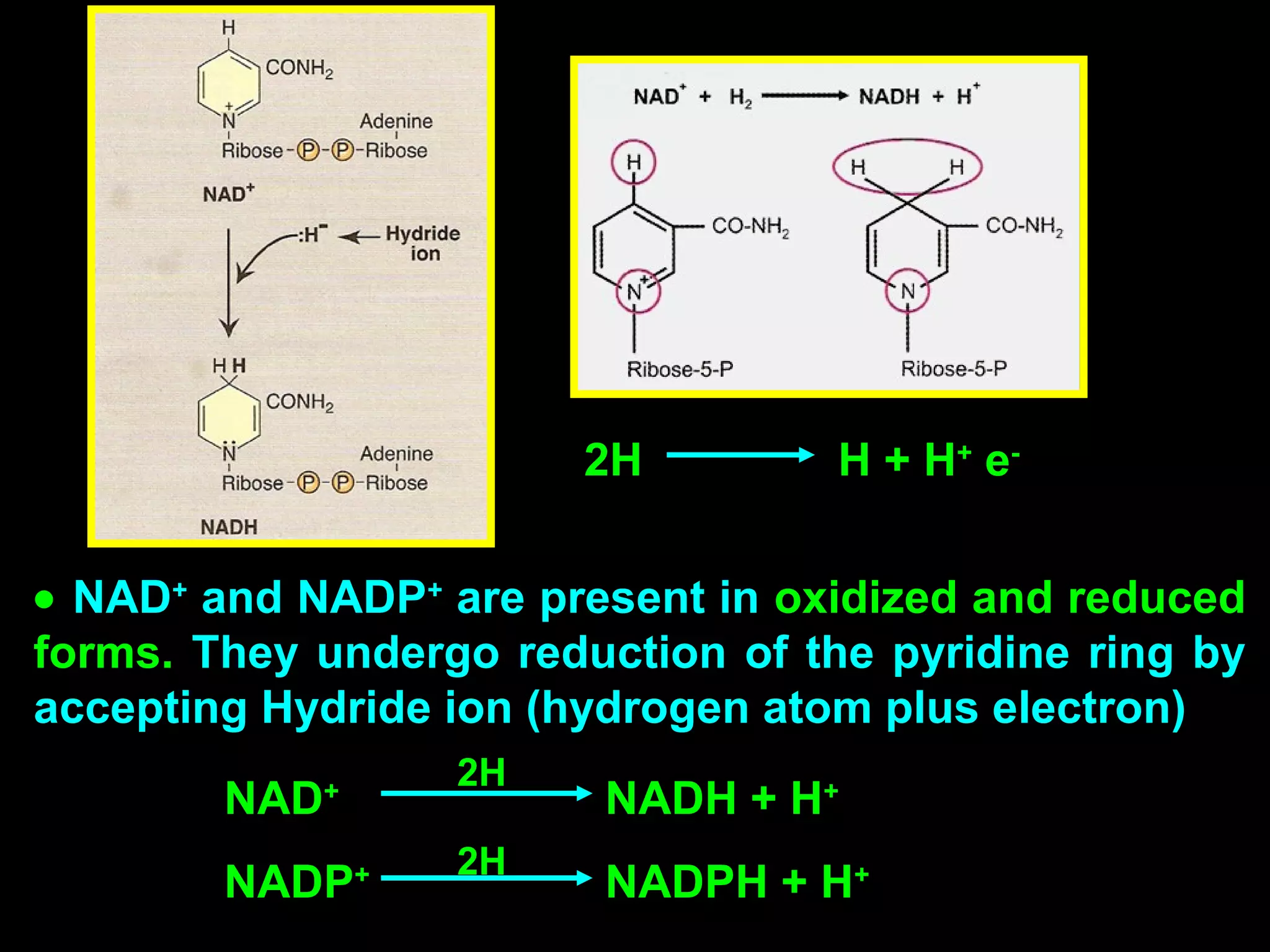 Water soluble vitamins | PPT