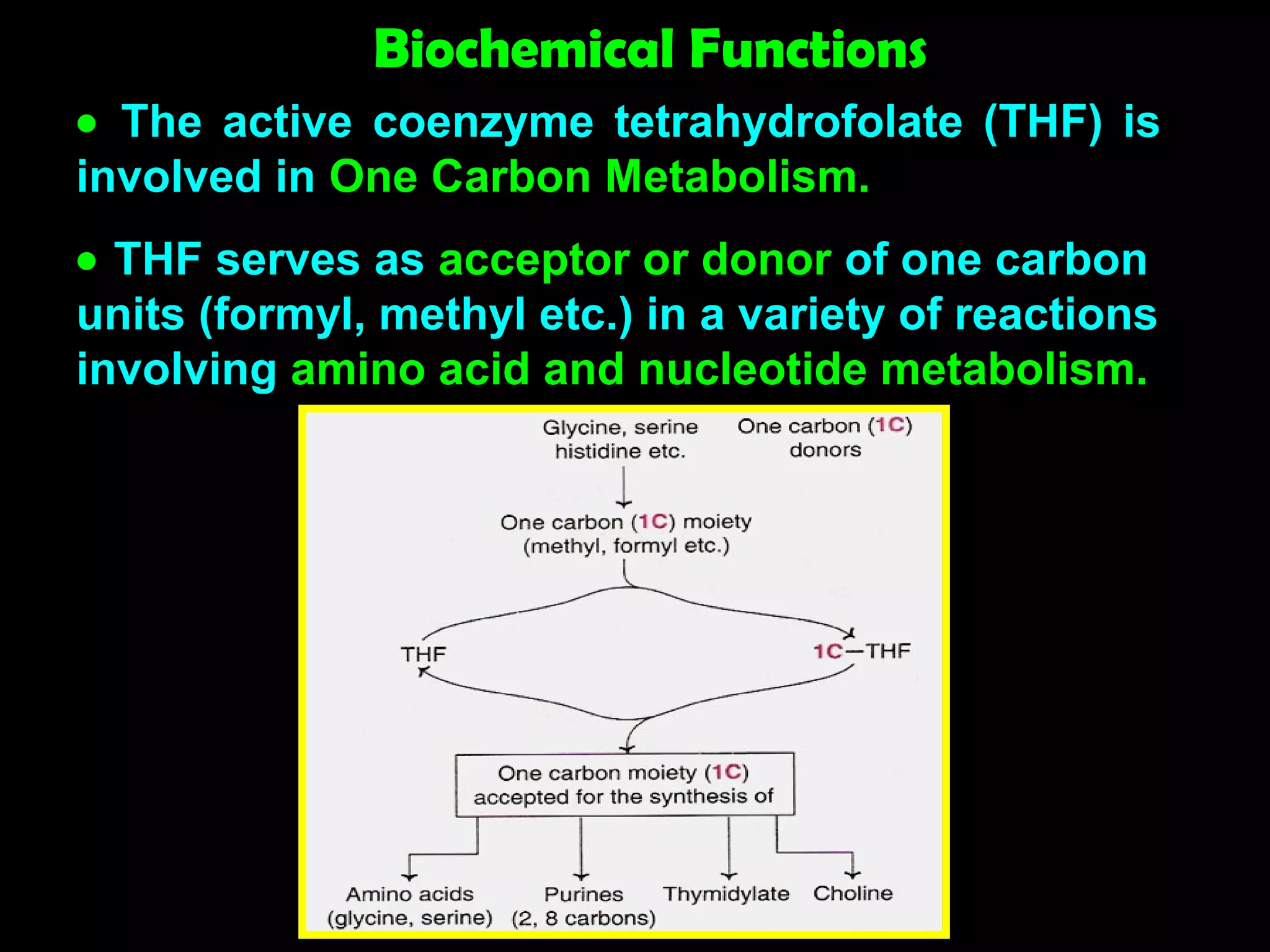 Water soluble vitamins | PPT