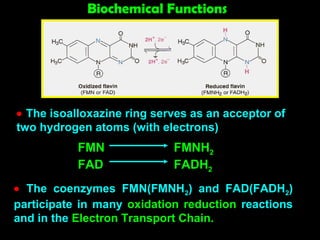 Water soluble vitamins | PPT