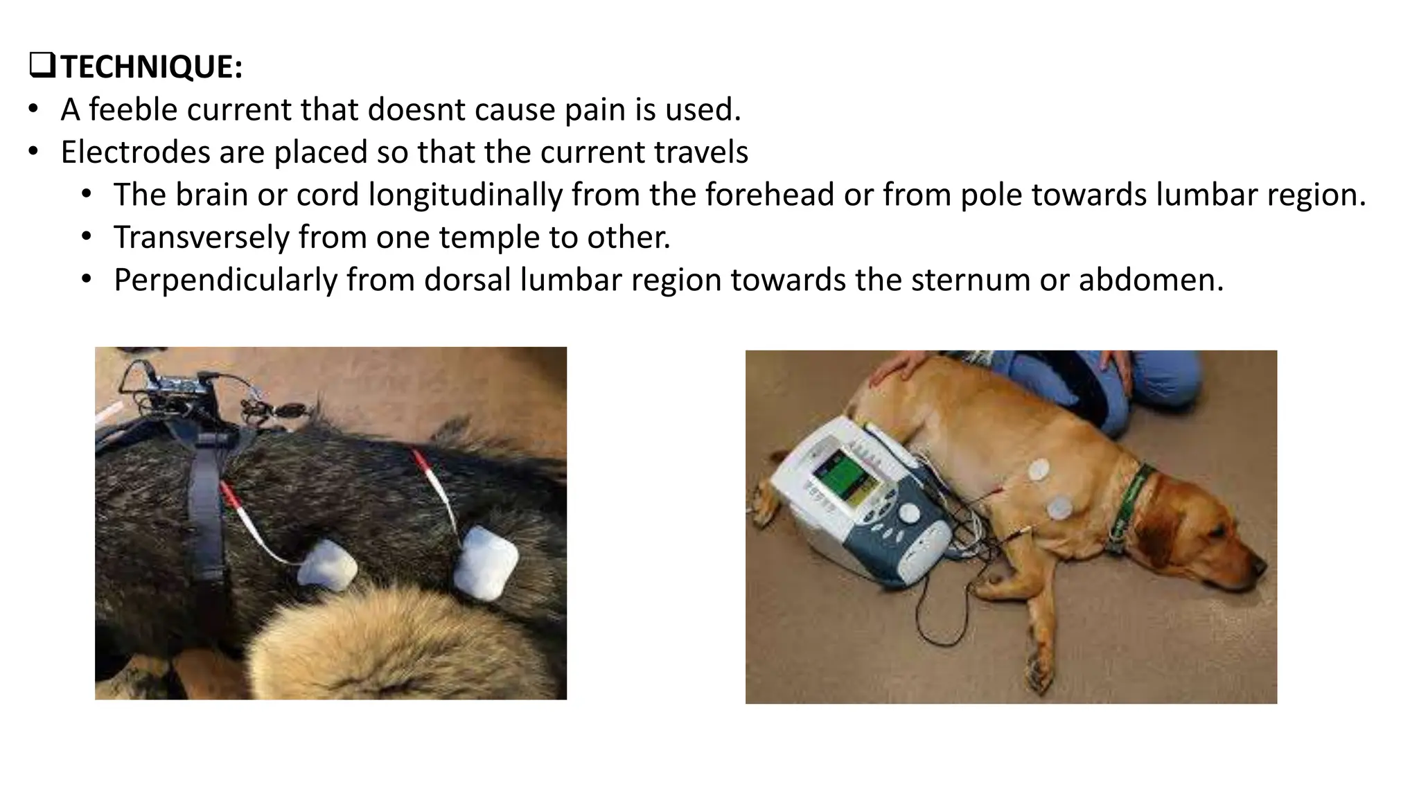 PHYSIOTHERAPY IN VETERINARY SURGERY AND RADIOLOGY | PPTX