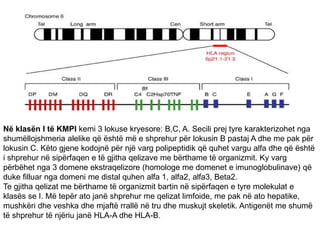 KMPI, HLA, MHC | PPTX