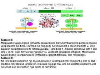 KMPI, HLA, MHC | PPTX