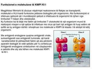 KMPI, HLA, MHC | PPTX
