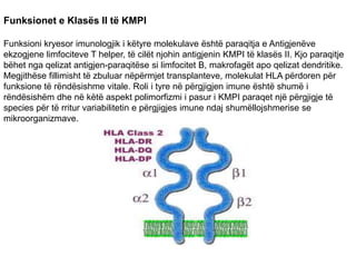 KMPI, HLA, MHC | PPTX