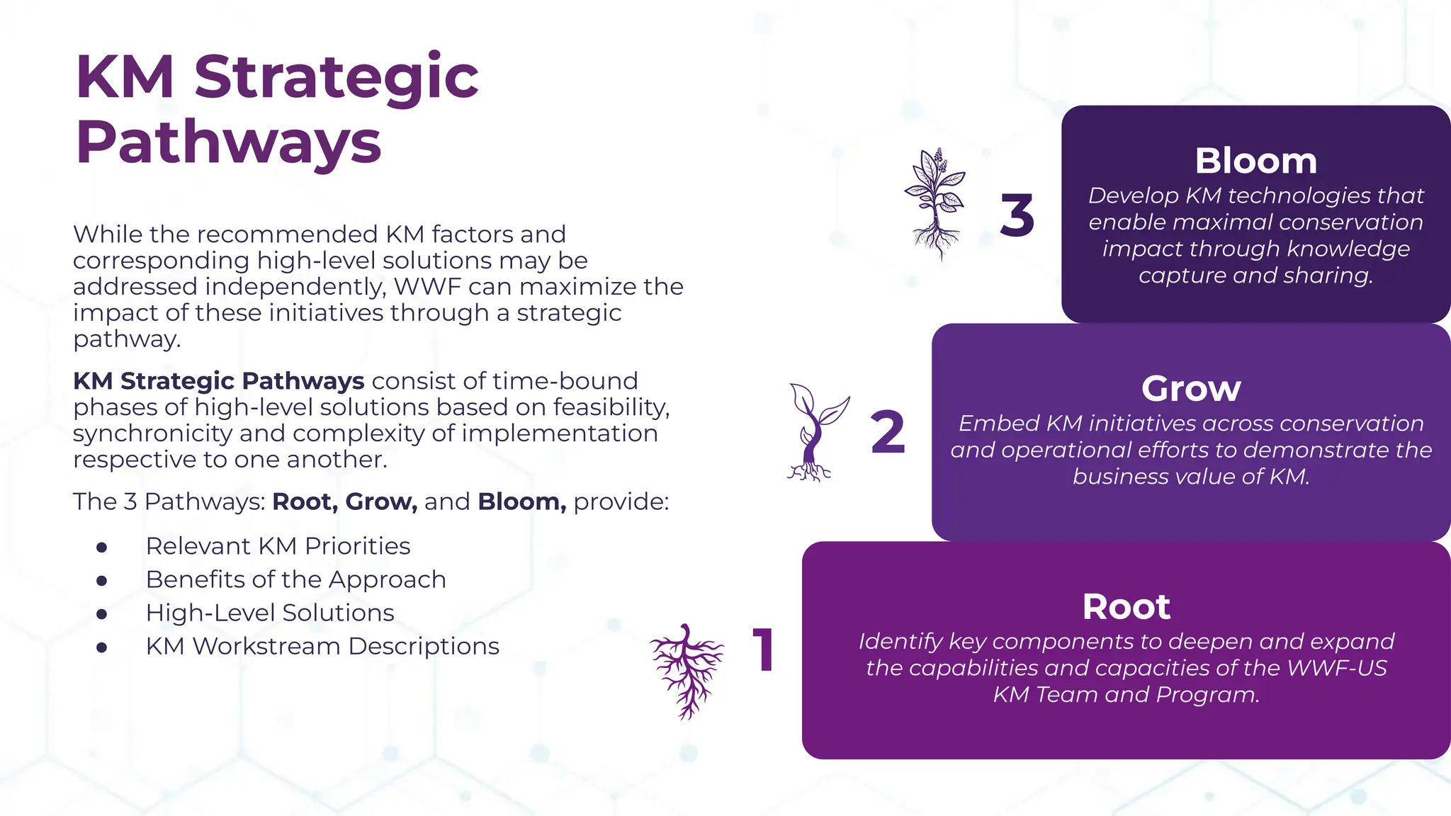 Nurturing Knowledge - A Journey in Building a KM Program from Scratch: A Case Study | PDF