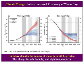 Impact of High Temperature Stress on Pulse Crops | PPTX