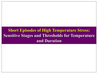 Impact of High Temperature Stress on Pulse Crops | PPTX