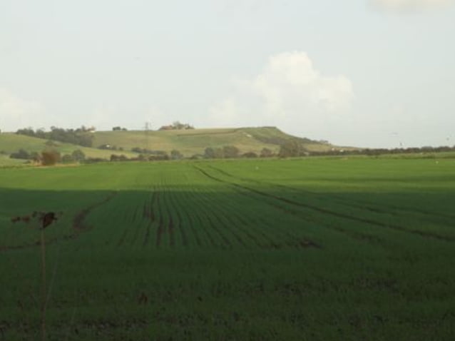 Sandra Knapp's presentation in the framework of the expert consultation ...