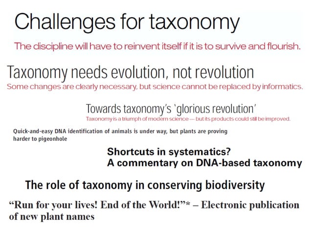 Knapp Elements of a Modern Monograph | PPT