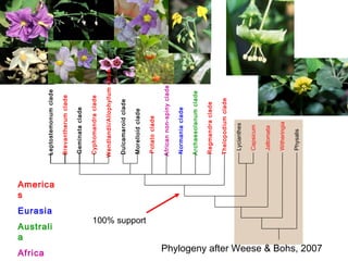 Knapp Elements of a Modern Monograph | PPT