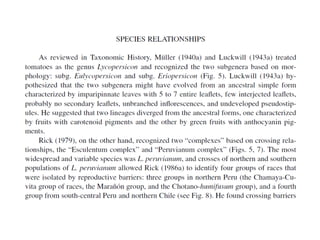 Knapp Elements of a Modern Monograph | PPT