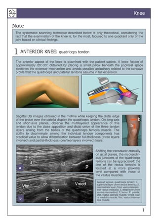 Knee | PDF | Death, Injury, or Military Conflict | Sensitive Topics