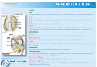 Knee | PPT