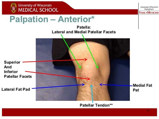 Patellar Region