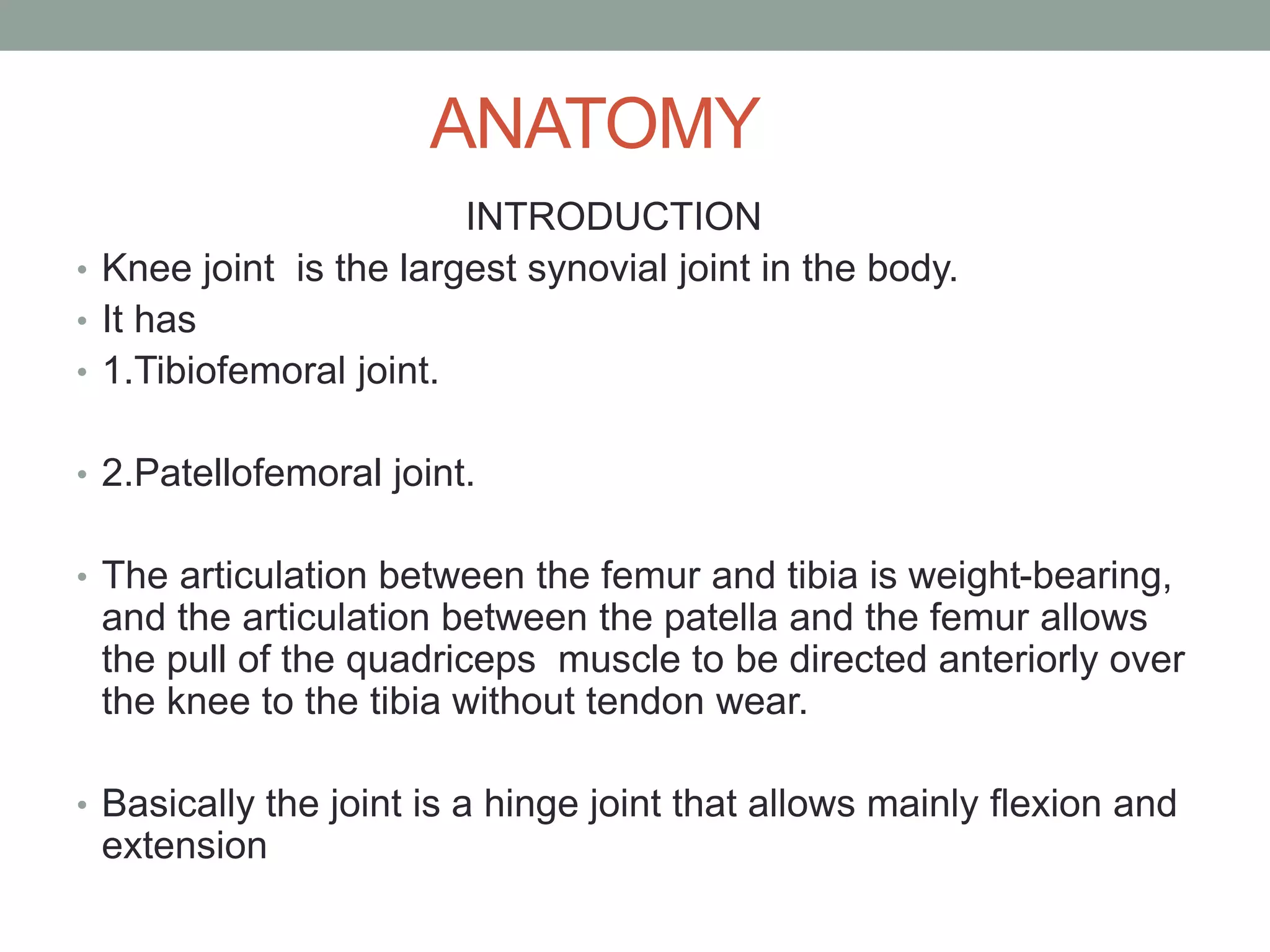 Anatomy and Examination of the Knee | PPTX