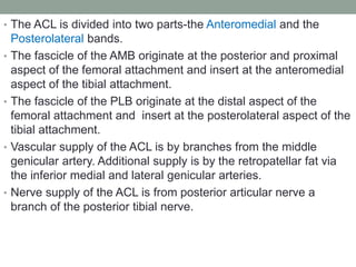 Anatomy and Examination of the Knee | PPTX