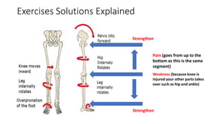 Knee Rehabilitation | PPT
