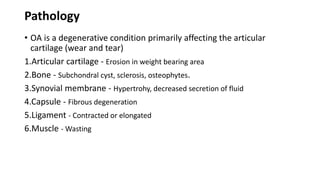 Knee Anatomy, approaches & Osteoarthritis | PPTX
