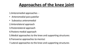 Knee Anatomy, approaches & Osteoarthritis | PPTX