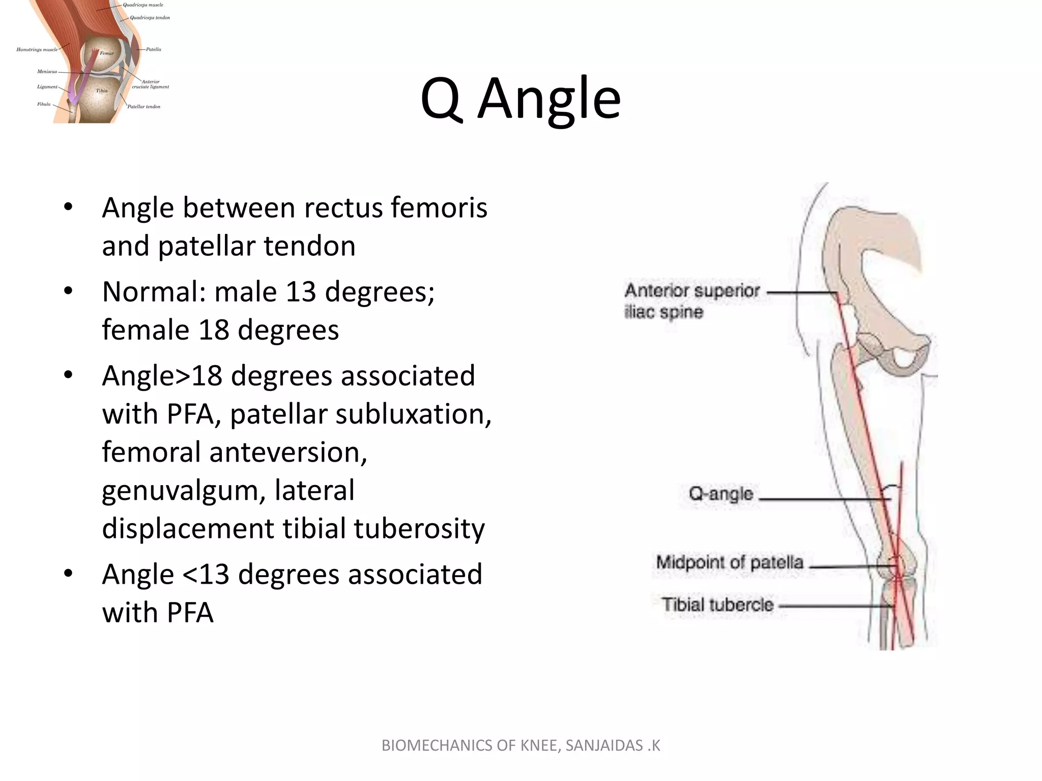 Knee-Biomechanics.pptx