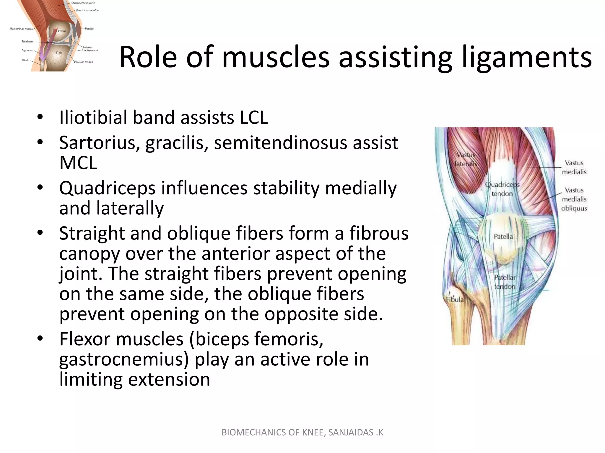 Knee-Biomechanics.pptx