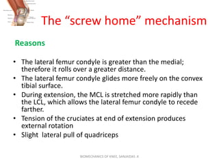 Knee-Biomechanics.pptx