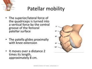 Knee-Biomechanics.pptx