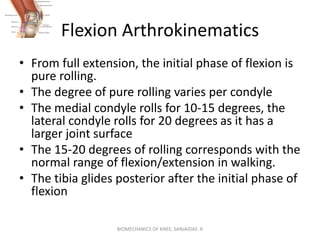 Knee-Biomechanics.pptx
