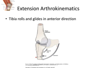 Knee-Biomechanics.pptx