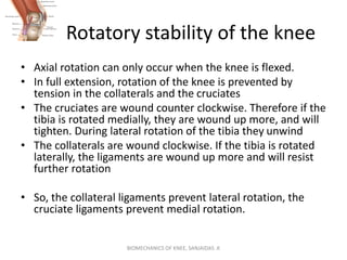 Knee-Biomechanics.pptx