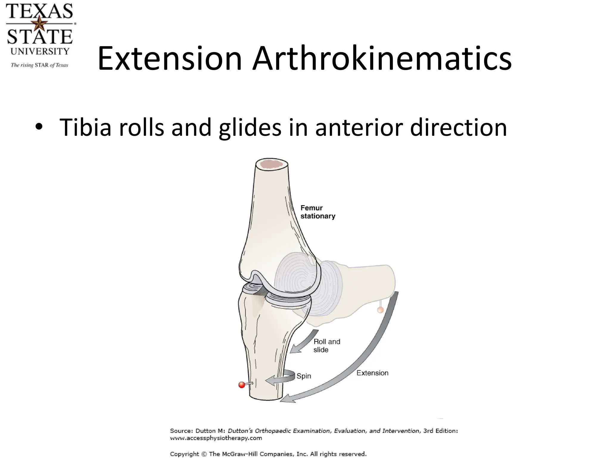 Knee-Biomechanics.pptx.pdf it is easy and useful . | PDF