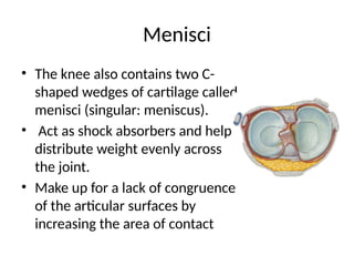 Knee-Biomechanics.pptx screw home mecahnism | PPTX