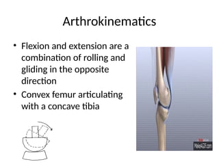 Knee-Biomechanics.pptx screw home mecahnism | PPTX