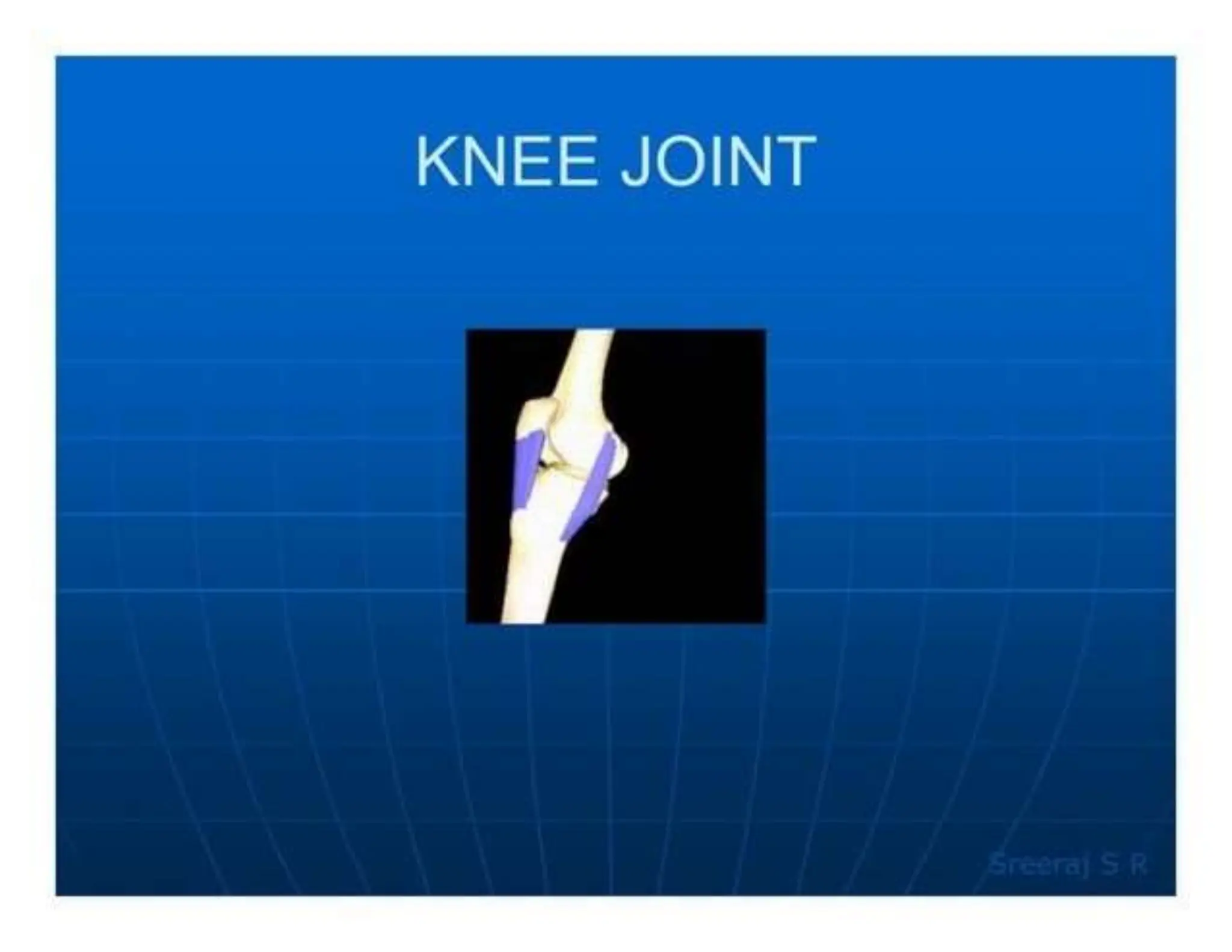knee-biomechanics-26945834589422257.pptx