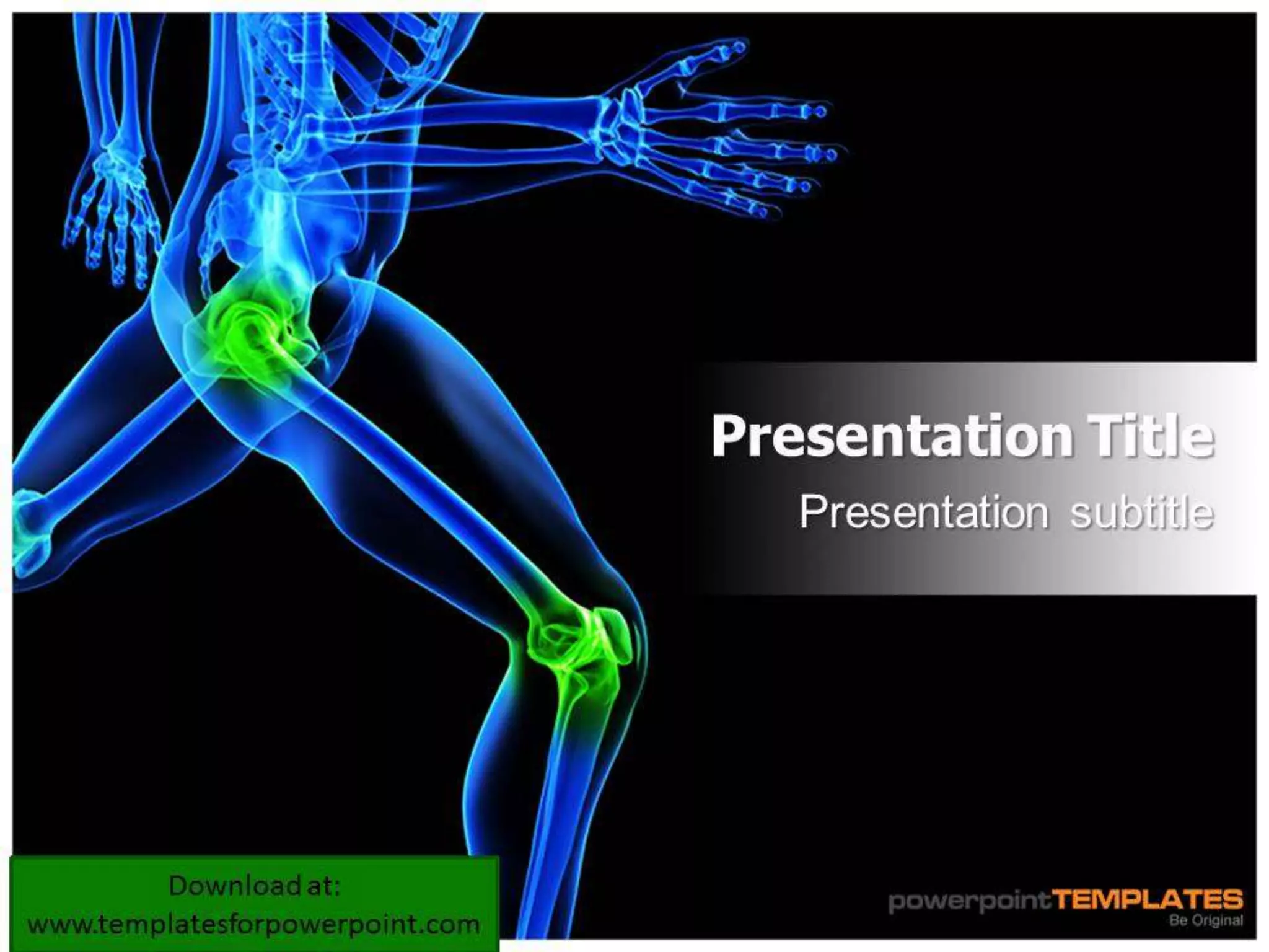 Knee orthopedic | PPTX