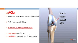 Simplified Mechanics of the knee joint and it’s stabilizing system | PDF