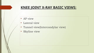 Anatomy of knee: presented by DR SHLIPI JHA MD RADIODIAGNOSIS | PPT