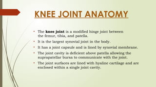 Anatomy of knee: presented by DR SHLIPI JHA MD RADIODIAGNOSIS | PPTX