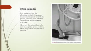 Anatomy of knee: presented by DR SHLIPI JHA MD RADIODIAGNOSIS | PPTX