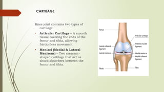 Anatomy of knee: presented by DR SHLIPI JHA MD RADIODIAGNOSIS | PPTX
