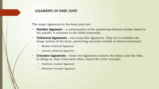 Anatomy of knee: presented by DR SHLIPI JHA MD RADIODIAGNOSIS | PPT